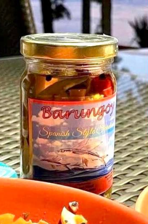 Hopes Soar High with Fish That Fly - NVC Foundation - A Philippine Charity