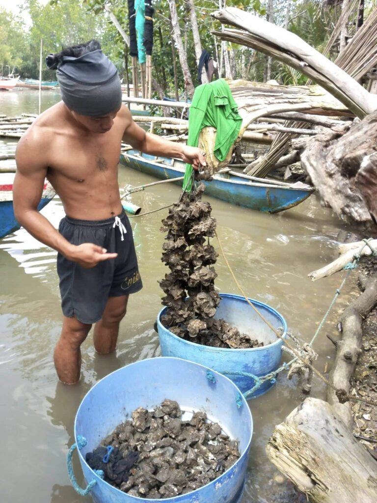 Oysters and Crabs: The Story of the Brgy. Dos Talabahan Association ...