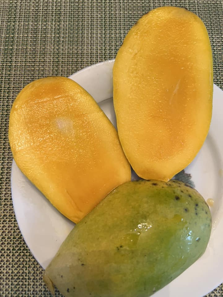 Jamingo Drive - NVC Foundation - A Philippine Charity