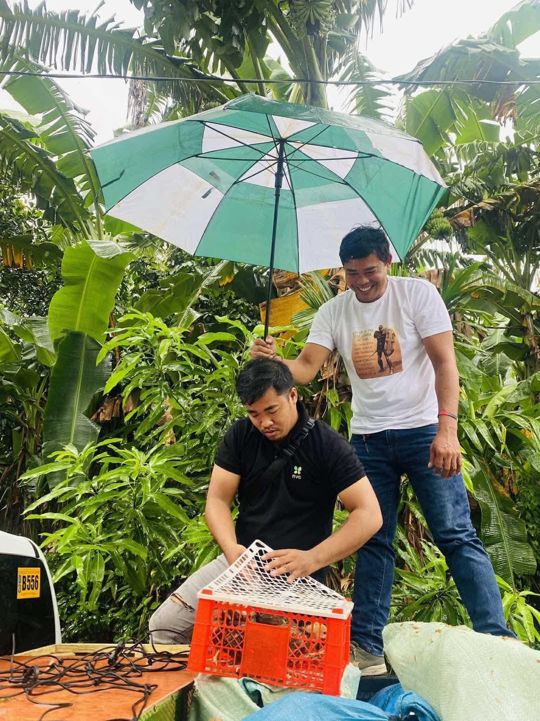 Hatching Soon: Hope - NVC Foundation - A Philippine Charity