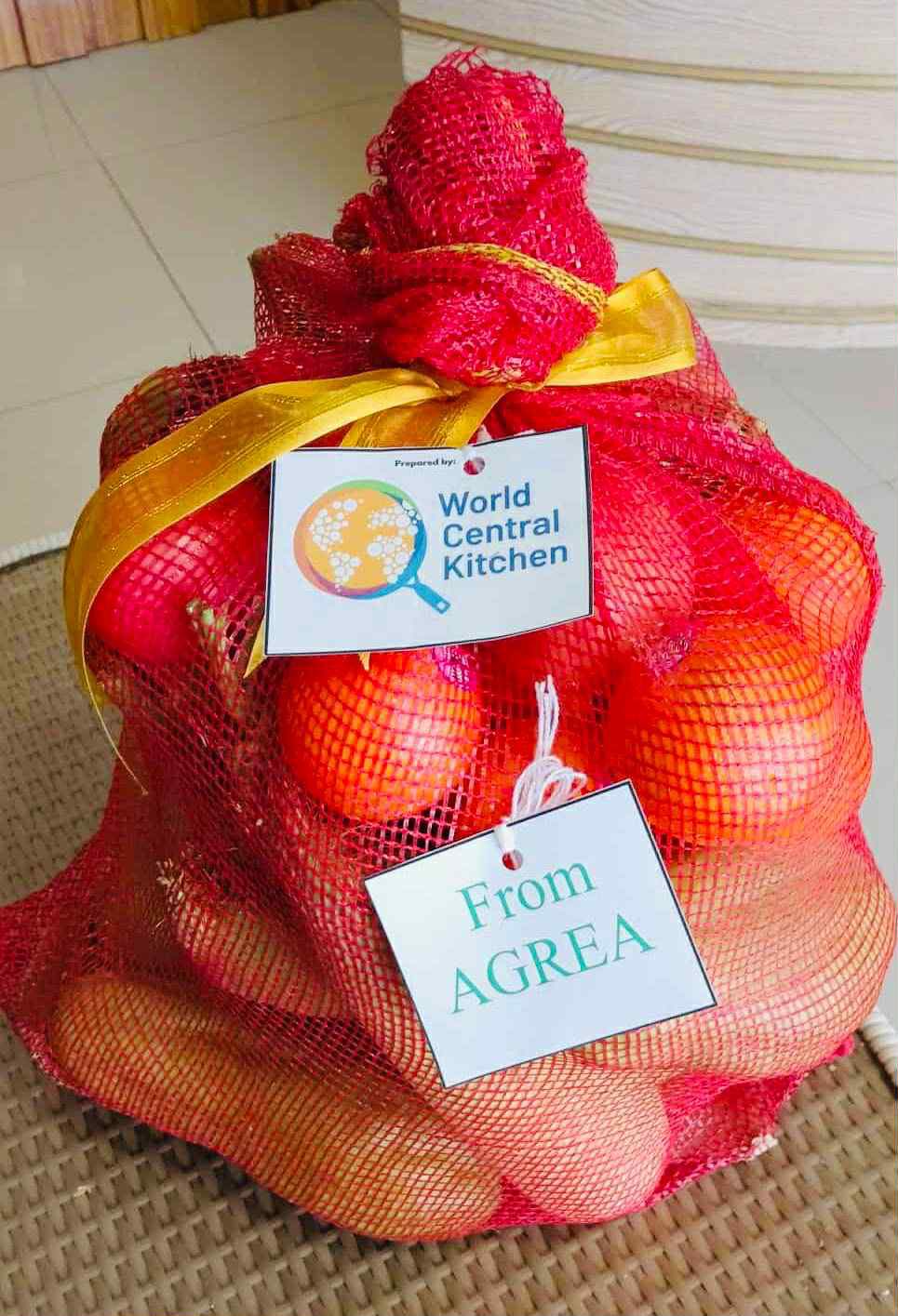 Psycho-social Support for Survivors of the Cebu Earthquake - NVC ...